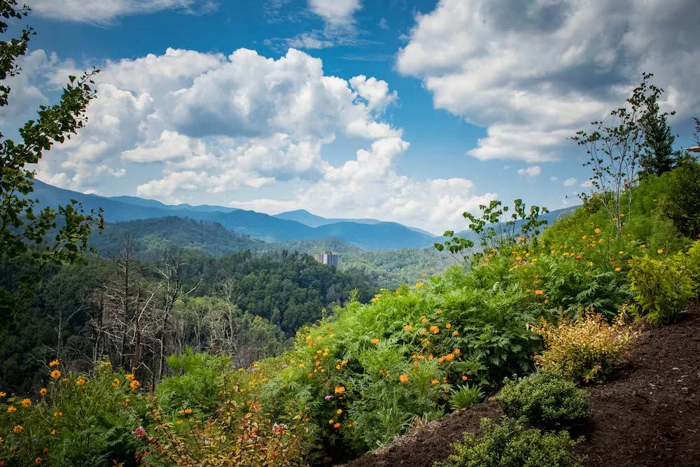 6 Spring Events in Gatlinburg You Don’t Want to Miss